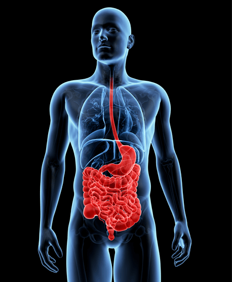 Cancer Treatment in Sri Lanka, Tomotherapy Treatment | Ceylinco